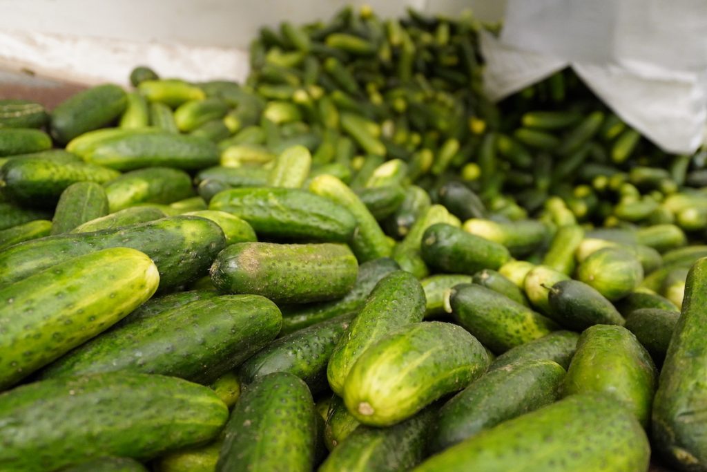 Het succes van Kesbeke: zure producten en zoete gastvrijheid